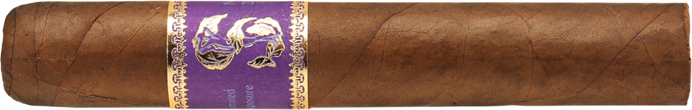 Matilde Limited Edition Exposure No. 2 Robusto (2022) | Cigarworld.de ...