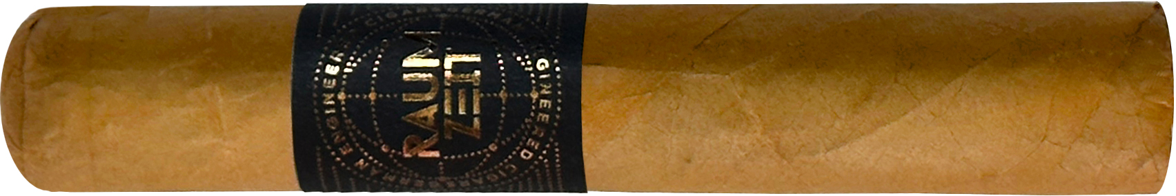 Raumzeit German engineered Cigars Robusto | Cigarworld.de Zigarren ...