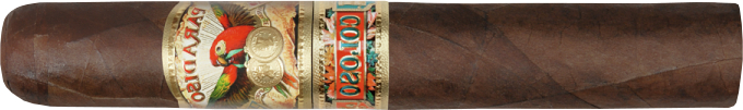 Paradiso By Ashton Coloso | Cigarworld.de Zigarren Nicaragua